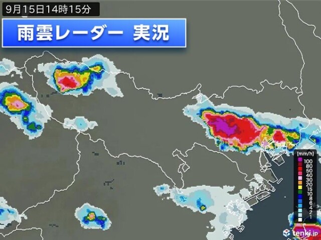 東京都心でゲリラ豪雨 今夜にかけて大雨や雷雨に警戒 コラム 緑のgoo